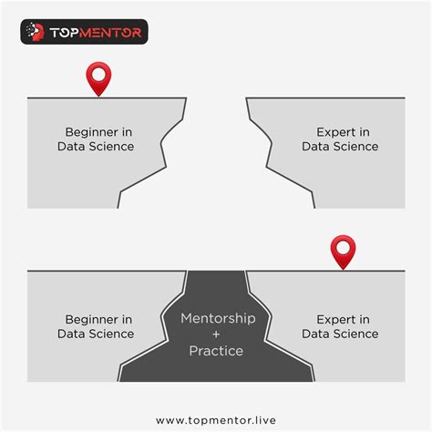 Top Mentor On Linkedin Mentorship Mastery Practice Persistence Data Science Datanalytics