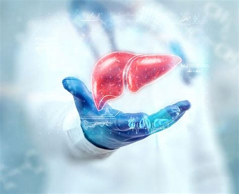 Liver Functioning Test Liver Functioning Test With Normal And By