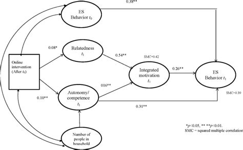 Model Of Self Determination Theory And Energy Saving Behavior Download Scientific Diagram