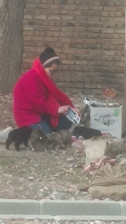 غذا دادن به سگ های کوچولو Youtube