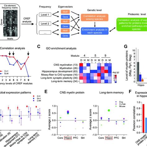 Pdf Comparative Proteome And Cis Regulatory Element Analysis Reveals Specific Molecular