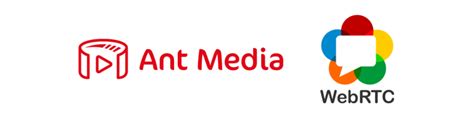 Webrtc Server Guide Using Webrtc Streaming Server Free