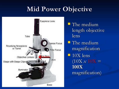 Microscope High Power Objective Lens Function At Nicole Hall Blog