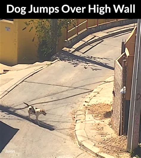 Arun Balaji Posted On Linkedin