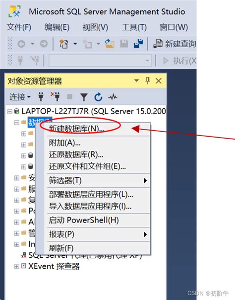 使用sql语句创建数据库与创建表数据库建表 Csdn博客
