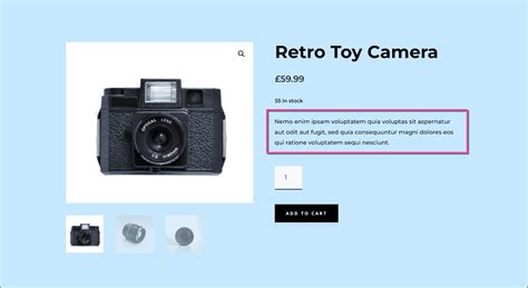 The Divi Woo Product Description Module Elegant Themes Documentation