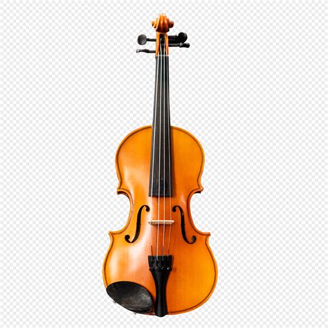 바이올린 이미지 사진 401432373 무료 다운로드