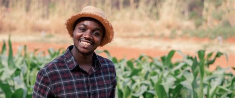 Disseminating Improved Maize Varieties And Agronomic Practices Among