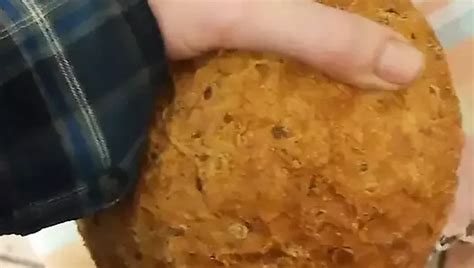 Bread Masturbation Xhamster