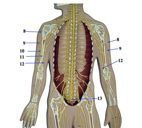 Homework Part 2 Diagram Quizlet
