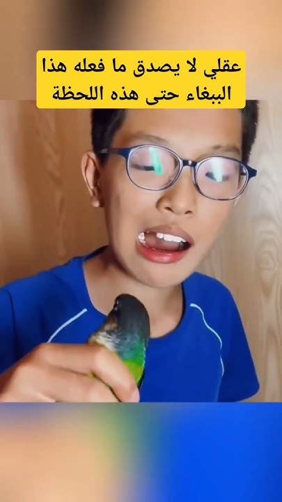 ما فعله هذا الببغاء كان مدهش للغاية Shorts Youtube