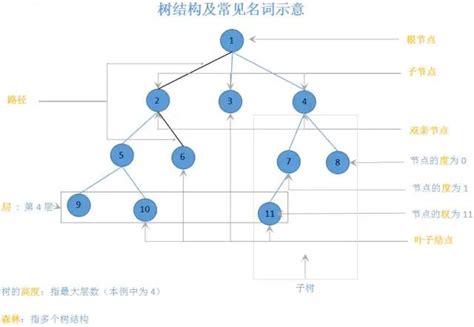 【数据结构与算法图文动画详解】终于可以彻底弄懂：红黑树、b 树、b树、b树、满二叉树、完全二叉树、平衡二叉树、二叉搜索树 Csdn博客