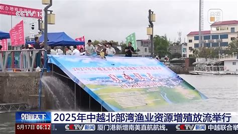 ၂၀၂၅ ခုနှစ် တရုတ် ဗီယက်နမ် ဘေဘူးပင်လယ်ကွေ့ ငါးနှင့် ရေနေသတ္တဝါများအရင်းအမြစ် မျိုးဆက်ပြန့်ပ