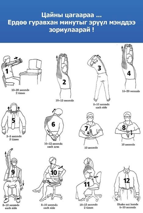 Цайны цагаараа хийх дасгал Мэдээ мэдээлэл Монголын иргэн бүрд ажлын байр