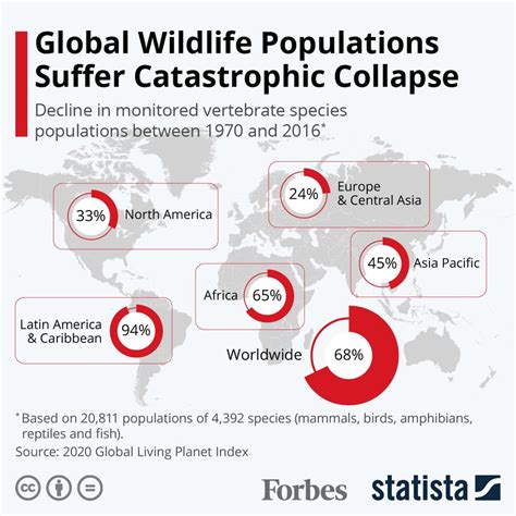 Report Global Wildlife Populations Have Declined 68 In 50 Years Due