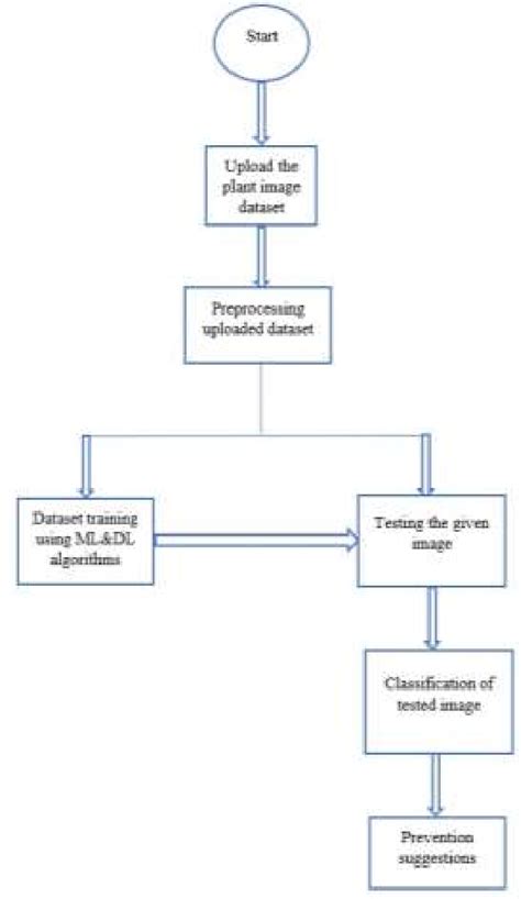 Figure 1 From Intelligent System To Analyse Plant Diseases Using Machine Learning Techniques