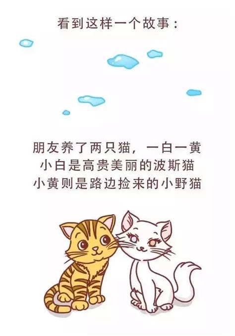 忘不了前任怎麼辦 每日頭條