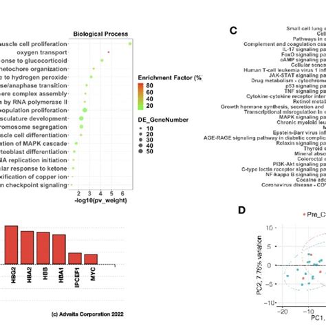 Chemotherapy Impacted Pathways Related To Cancer Cell Cycle And