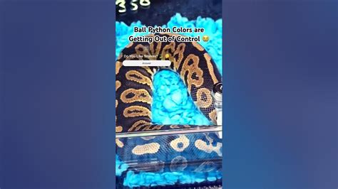 ⁉️ Confusion Python 🐍 Youtube