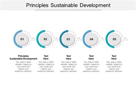 Principles Sustainable Development Ppt Powerpoint Presentation Slides