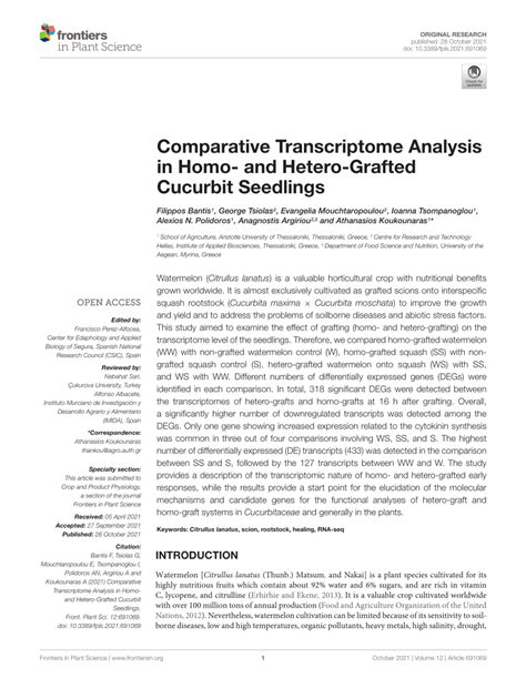 Pdf Comparative Transcriptome Analysis In Homo And Hetero Grafted