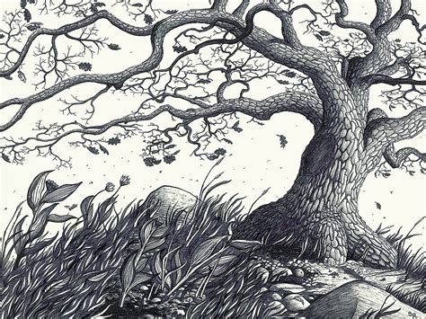 Oak Tree In The Wind Matted Print Ratcliff Drawings Oak Tree Drawings Tree Drawing Oak