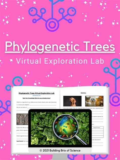Phylogenetic Trees Lab Activity Guided No Prep Virtual Science Simulation