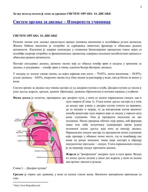 Дисање 25 3 2020 Docx