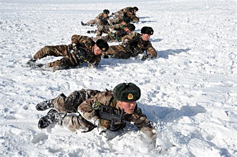 雪地战士 雪片 雪地犬 大山谷图库