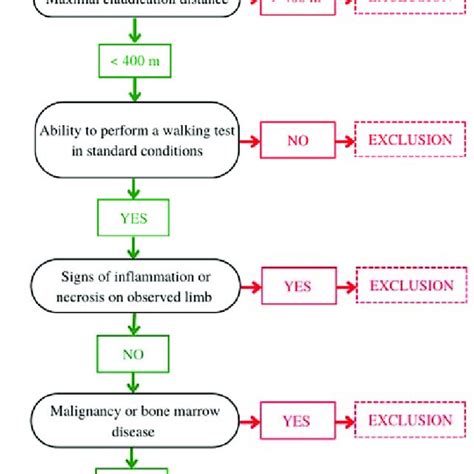 Inclusion Process Algorithm Download Scientific Diagram