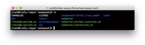 How To Setup TeamSpeak Server On Linux