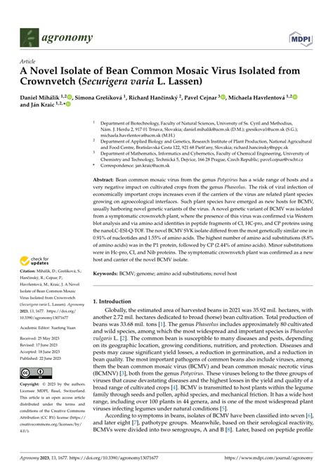 Pdf A Novel Isolate Of Bean Common Mosaic Virus Isolated From Crownvetch Securigera Varia L