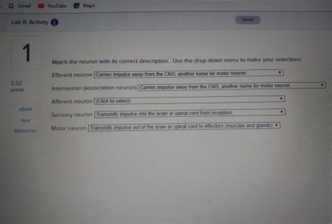 Solved Match The Neuron With Its Correct Description Use