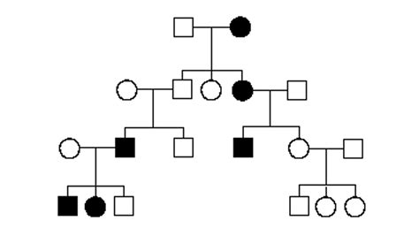 solved what inheritance pattern does this pedigree suggest