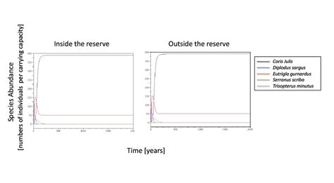 Simulation Of The Abundances Of All Species Sites In Both Systems Are Download Scientific