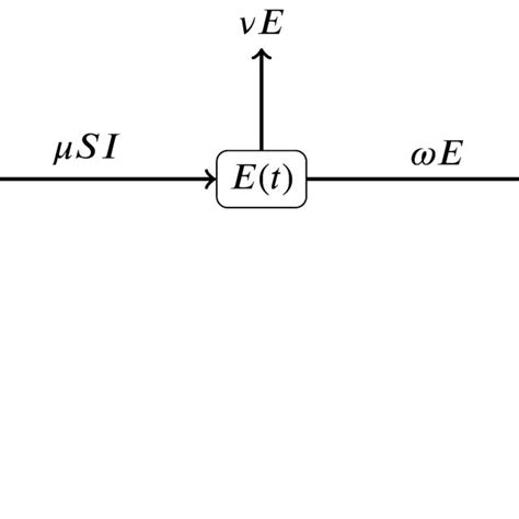 Schematic Diagram Of Sveir Model Equation 5 Download Scientific Diagram