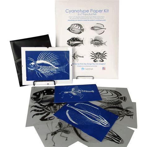 Cyanotype Store Cyanotype Paper And Fanciful Fish 16213 Bandh Photo