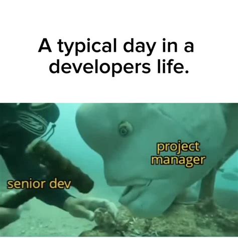 Dean Summers On Linkedin Developer Projectmanager It Technology Corporatelife Devops