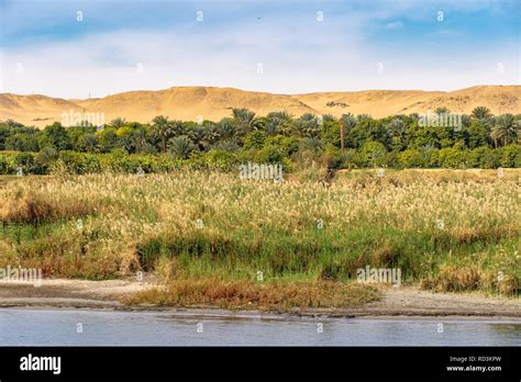 Nile River Delta Landscape Nile Delta Landscape Hi Res Stock
