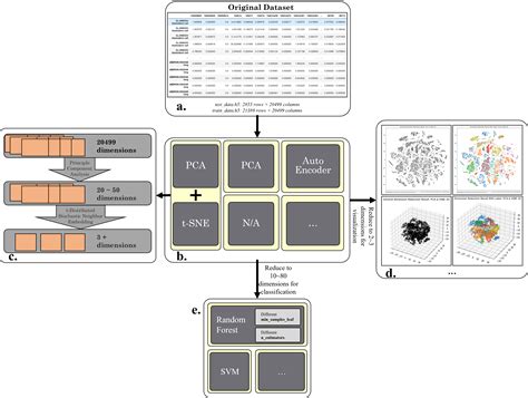 Github Stry233automated Cell Recognition Using Single Cell Rna Sequencing With Machine