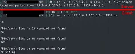 Netcat Windows Listen Udp Eggascse