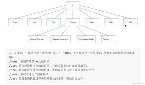 软件测试 —— Linux基础命令行软件测试linux常用命令 Csdn博客
