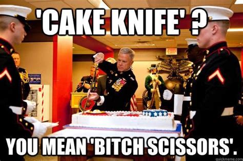 Best Marine Corps Birthday Memes Albina Ambrose