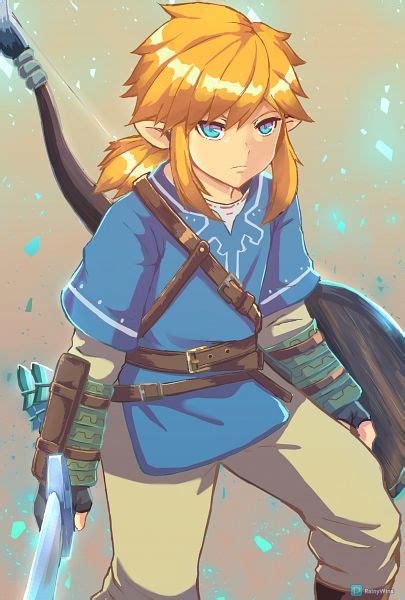 Link Breath Of The Wild Zelda No Densetsu Breath Of The Wild Image By Rainywins 2744538