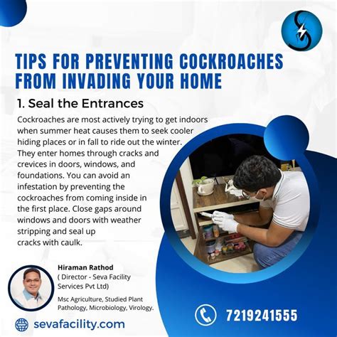 Tips For Preventing Cockroaches From Invading Your Home 1 Seal The