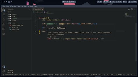 Additional Display Of Information From Vscode Issue 4460 Neoclide