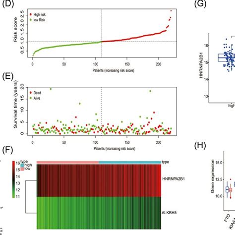 A Tree Modules Cc Bp And Mf Of Go Analysis In Cytoscape Plugin Download Scientific