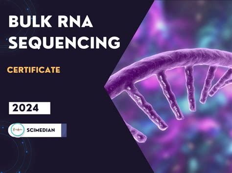 Bulk Rna Sequencing Workflow And Analysis Essentials