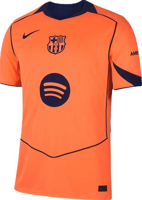 Frenkie De Jong Barcelona 202526 Stadium Third Mens Nike Dri Fit