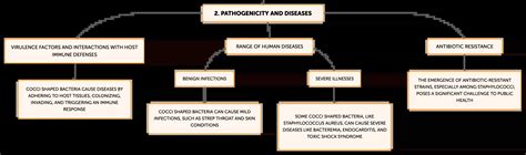 Cocci Shaped Bacteria Structure Classification And Pathogenicity Algor Cards